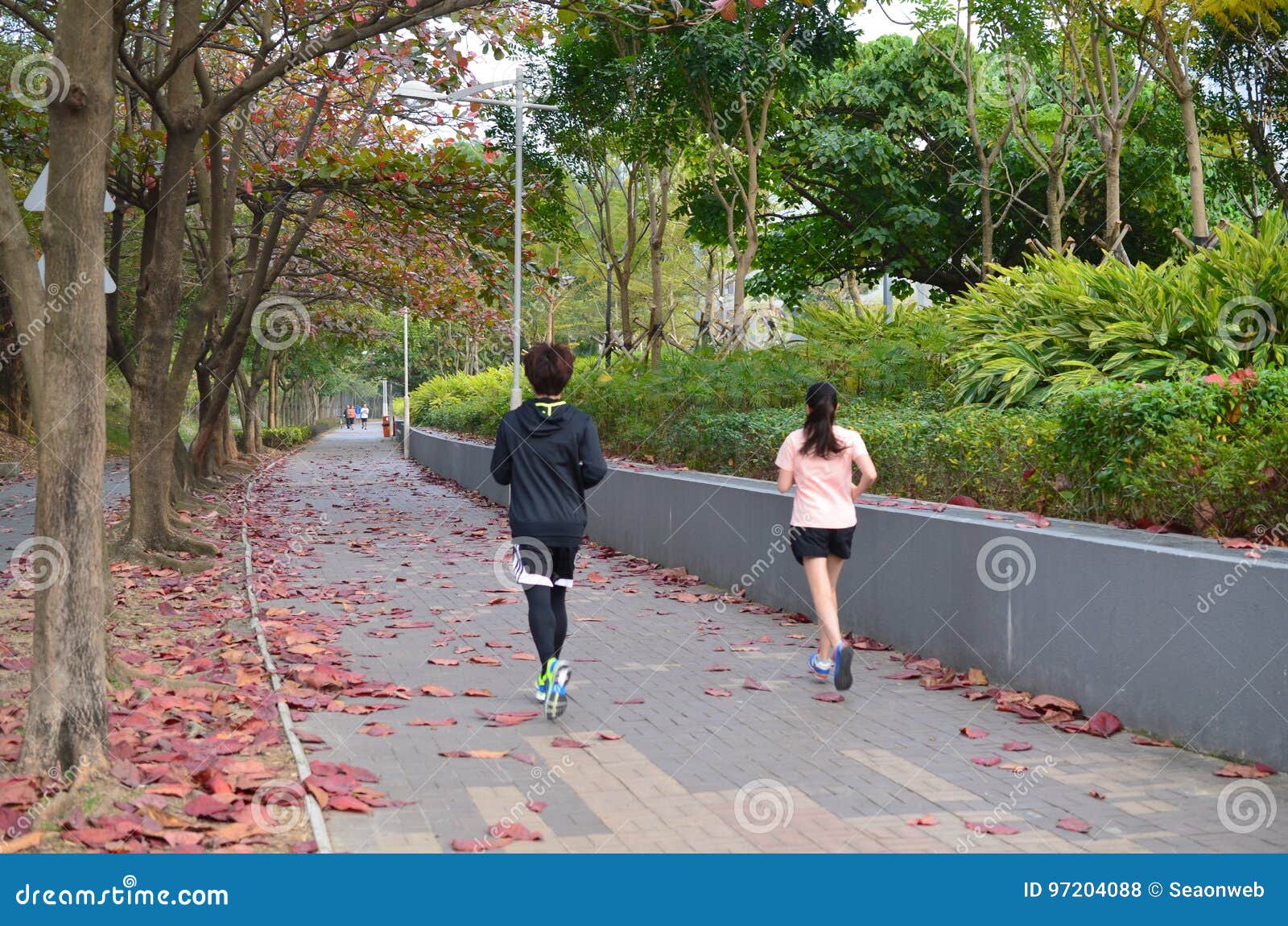 People running on road editorial stock photo. Image of courage - 97204088