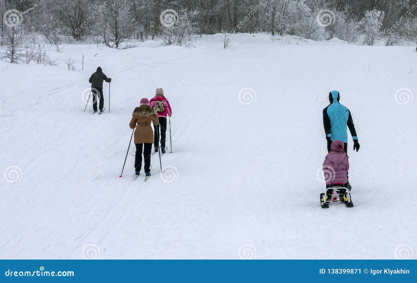 People Running on Skis on the Ski Track in the Woods, the View from the ...