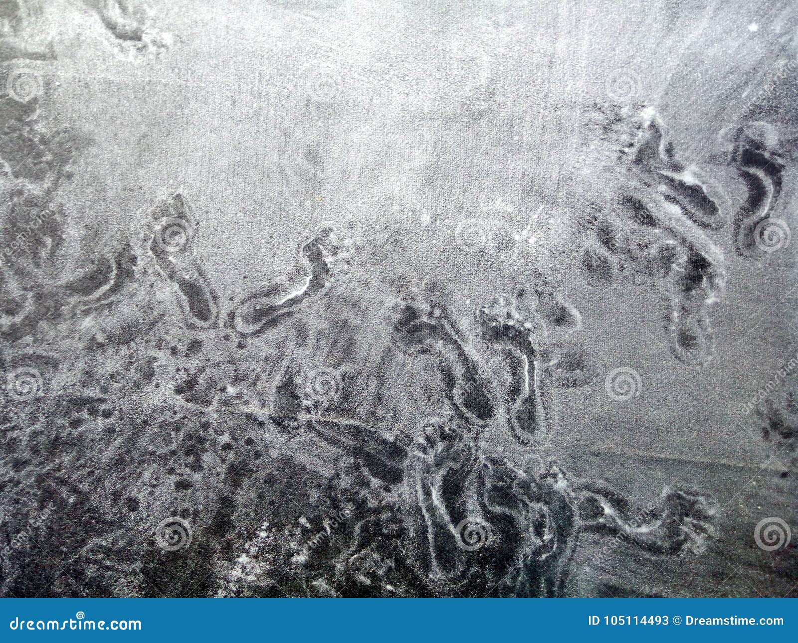 People`s Footsteps on the Floor Stock Image - Image of business ...