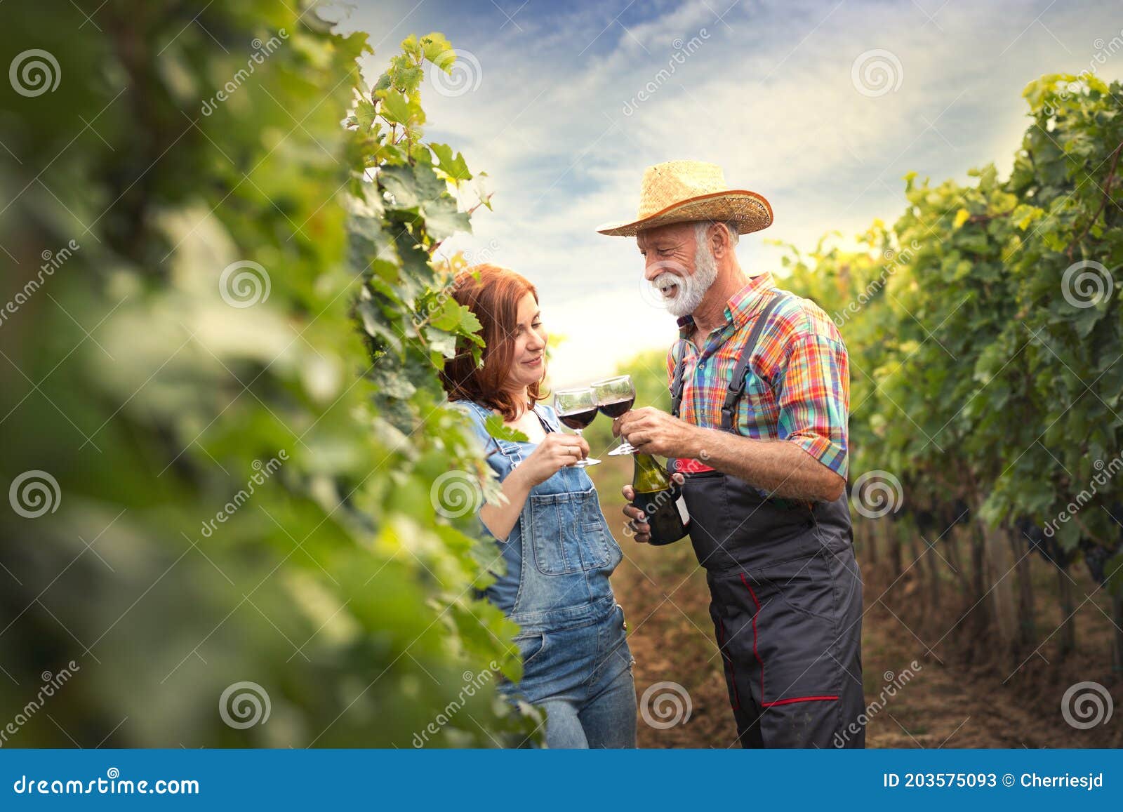 People Sampling and Tasting Wines in Vineyard Stock Image - Image of ...