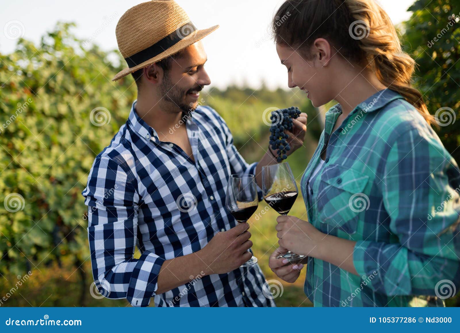 People Sampling and Tasting Wines in Vineyard Stock Photo - Image of ...