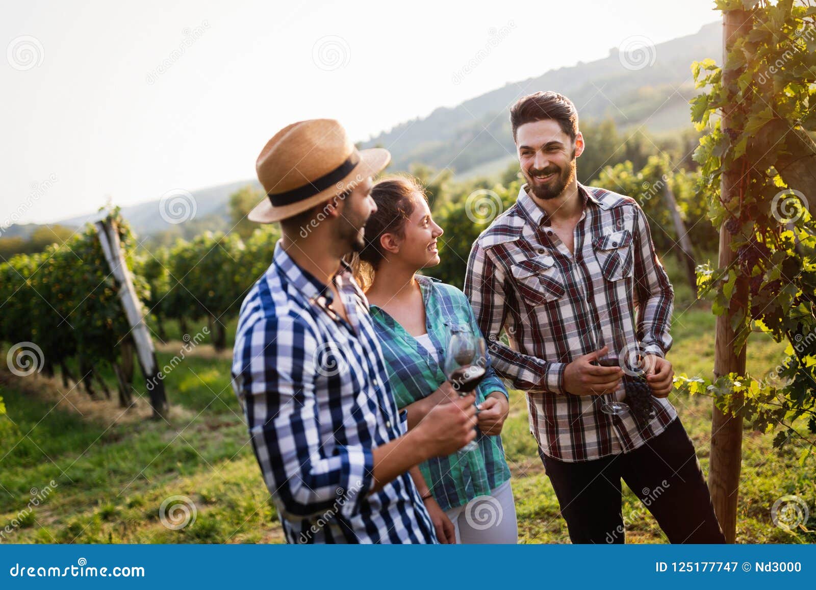 People Sampling and Tasting Wines in Vineyard Stock Image - Image of ...
