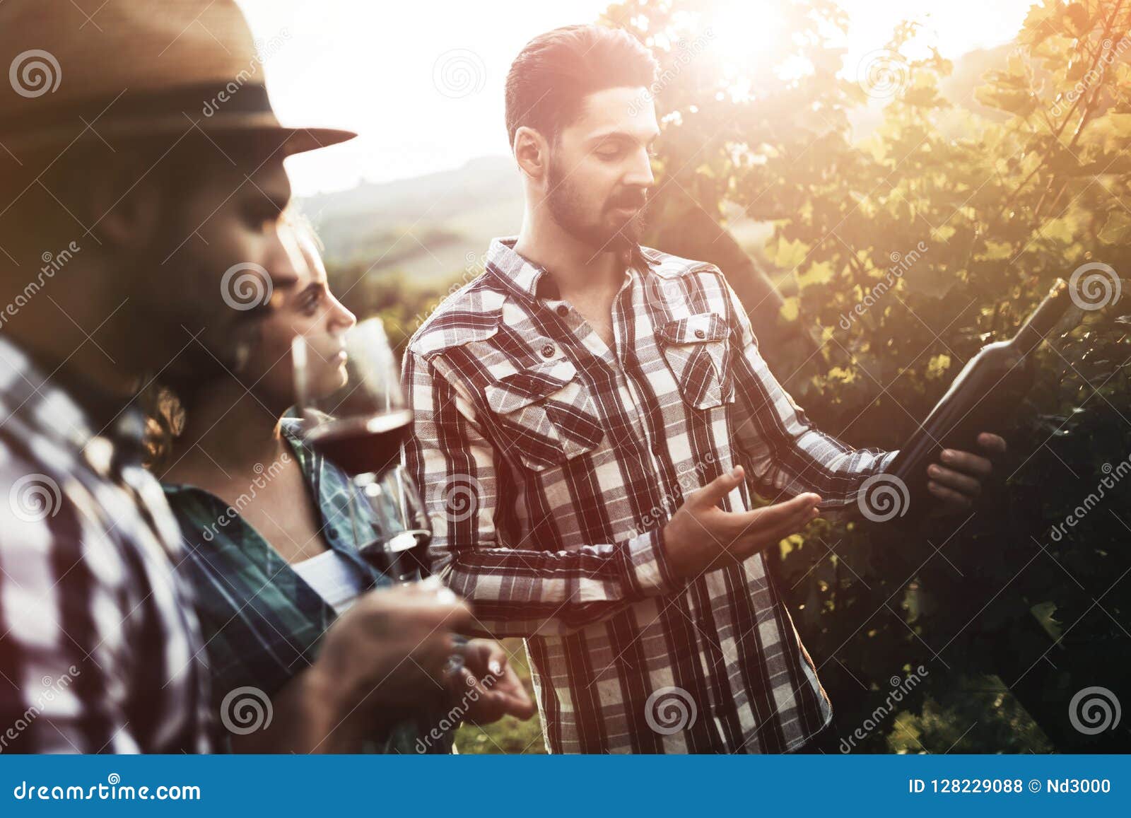 People Sampling and Tasting Wines in Vineyard Stock Photo - Image of ...