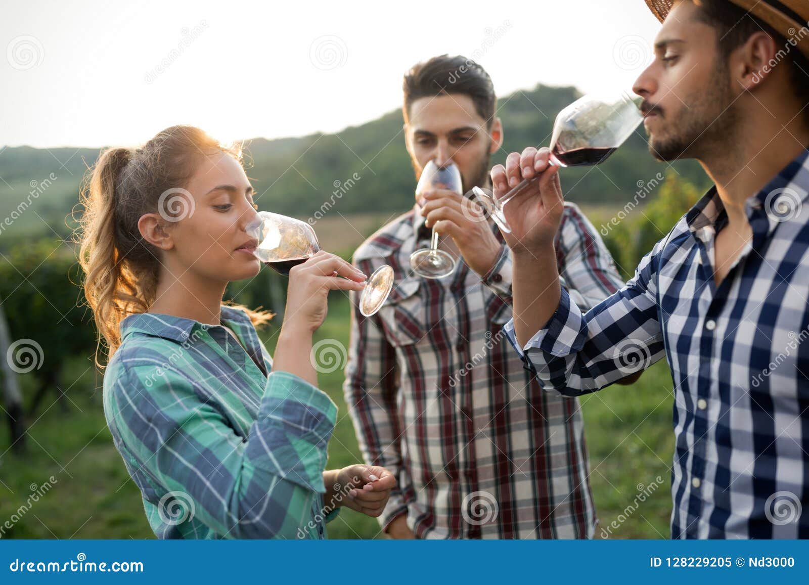People Sampling and Tasting Wines in Vineyard Stock Image - Image of ...