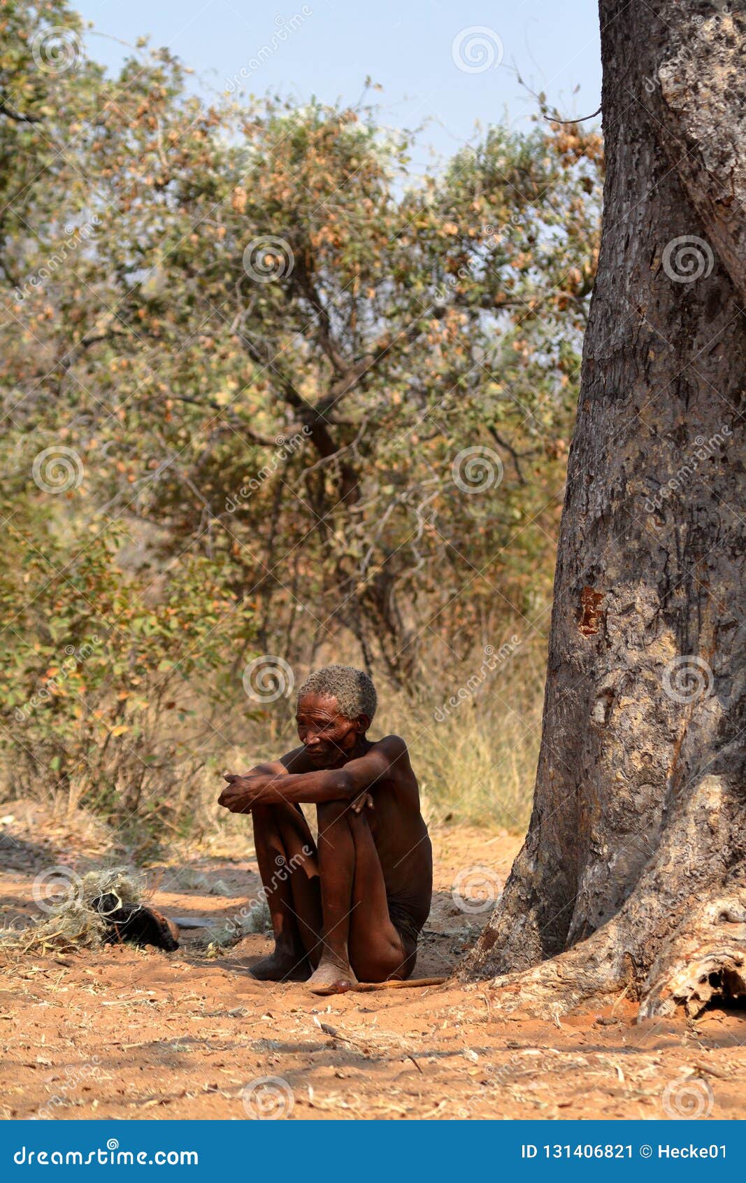 People of the San Tribe in Namibia Stock Image - Image of namibia ...