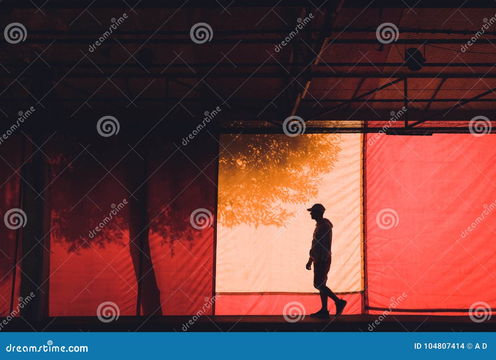 Shadow stock photo. Image of silhouettes, shadow, minimalism - 104807414