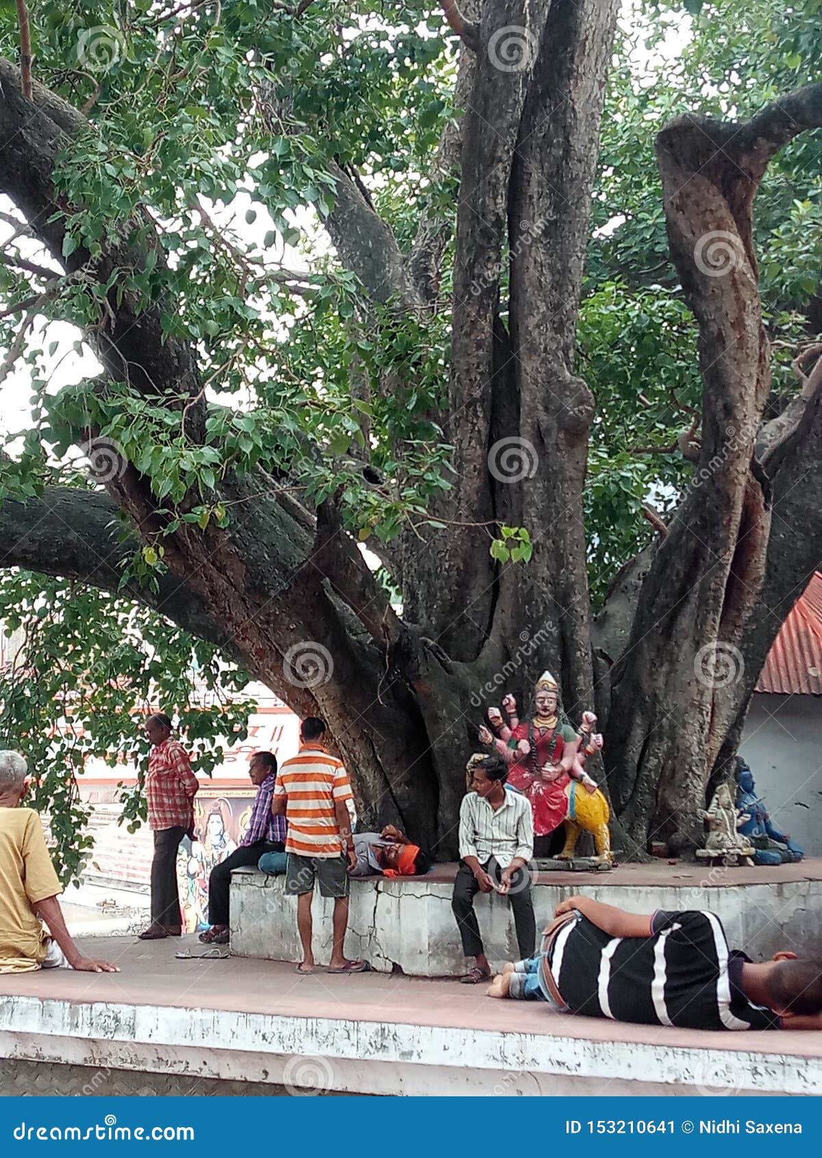 People are Sitting Under the Tree Compound of Temple Editorial Photo ...