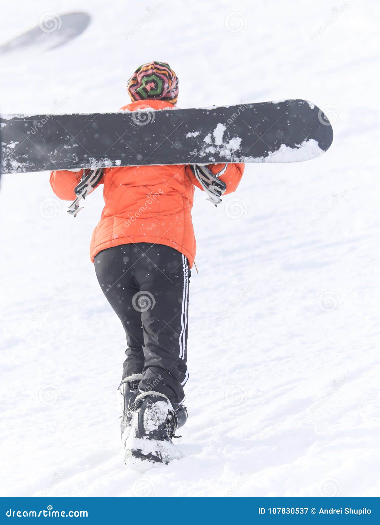 People Snowboarding on the Snow in the Winter Stock Image - Image of ...