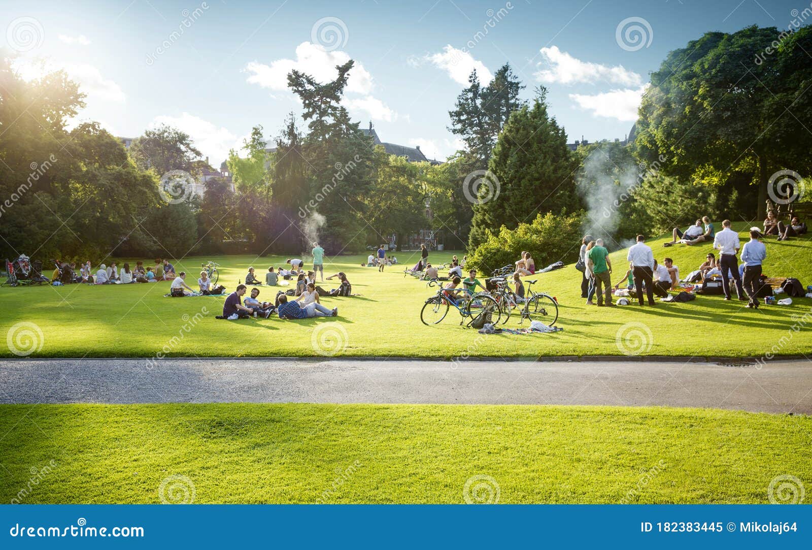 People Socializing in a Public Park Editorial Image - Image of picnic ...