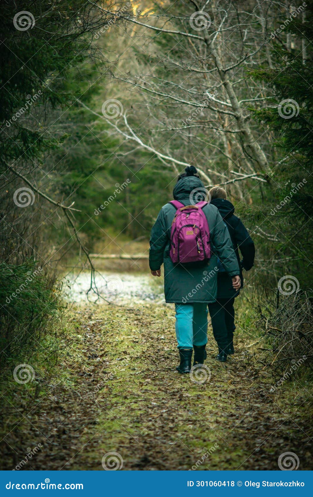 Two Persons Strolling Along Forest Path Stock Photo - Image of ...