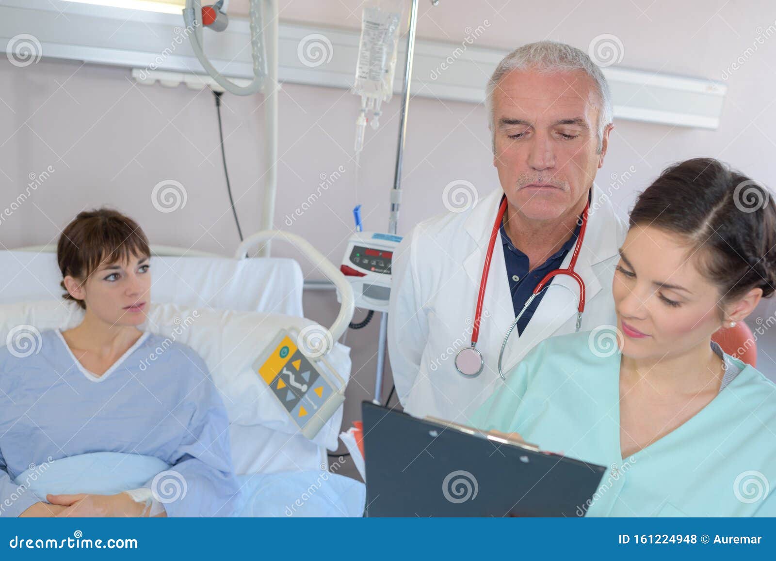 People supervising intern stock photo. Image of assistance - 161224948