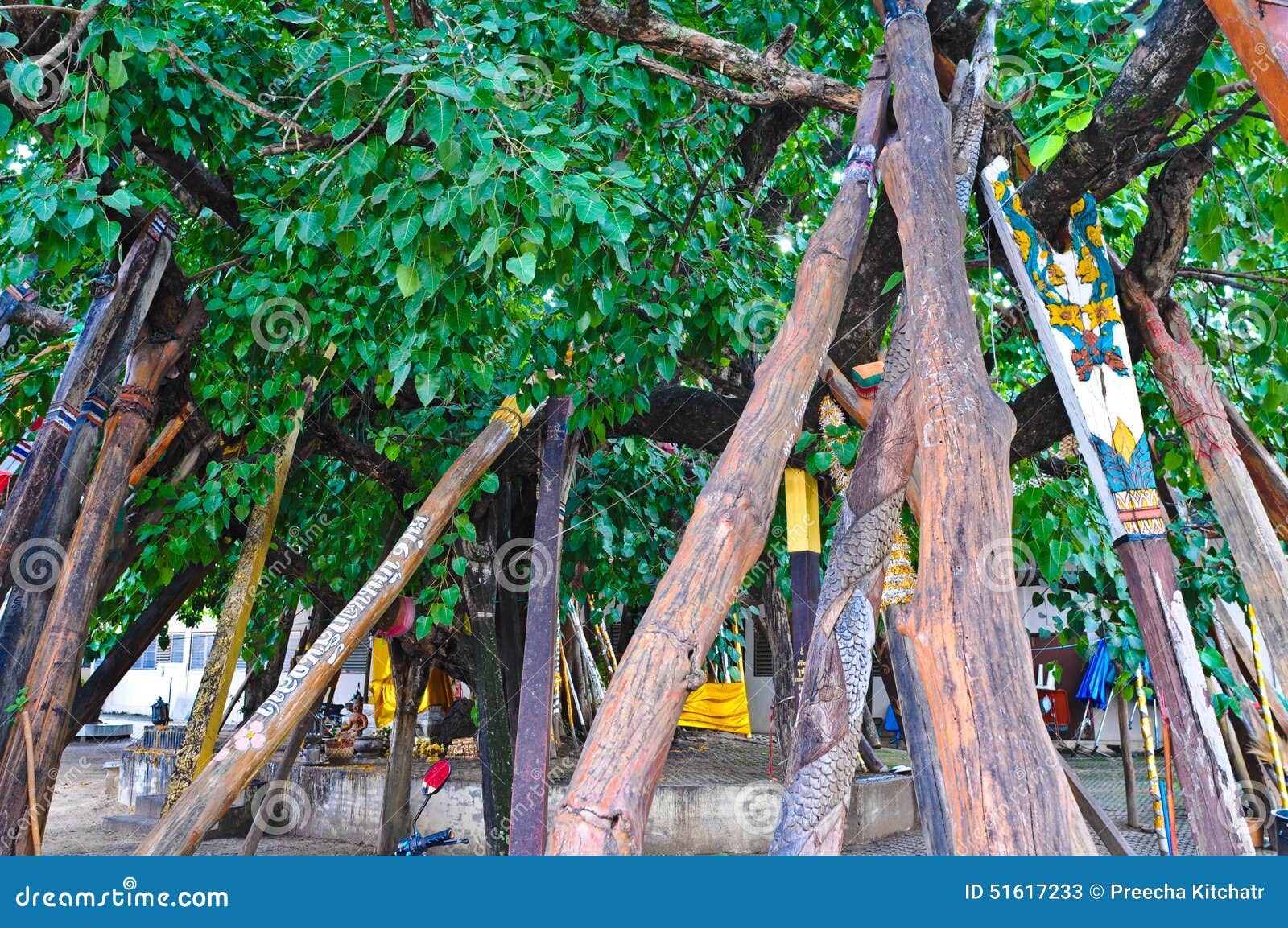 The People Support the Tree Stock Image - Image of believe, help: 51617233