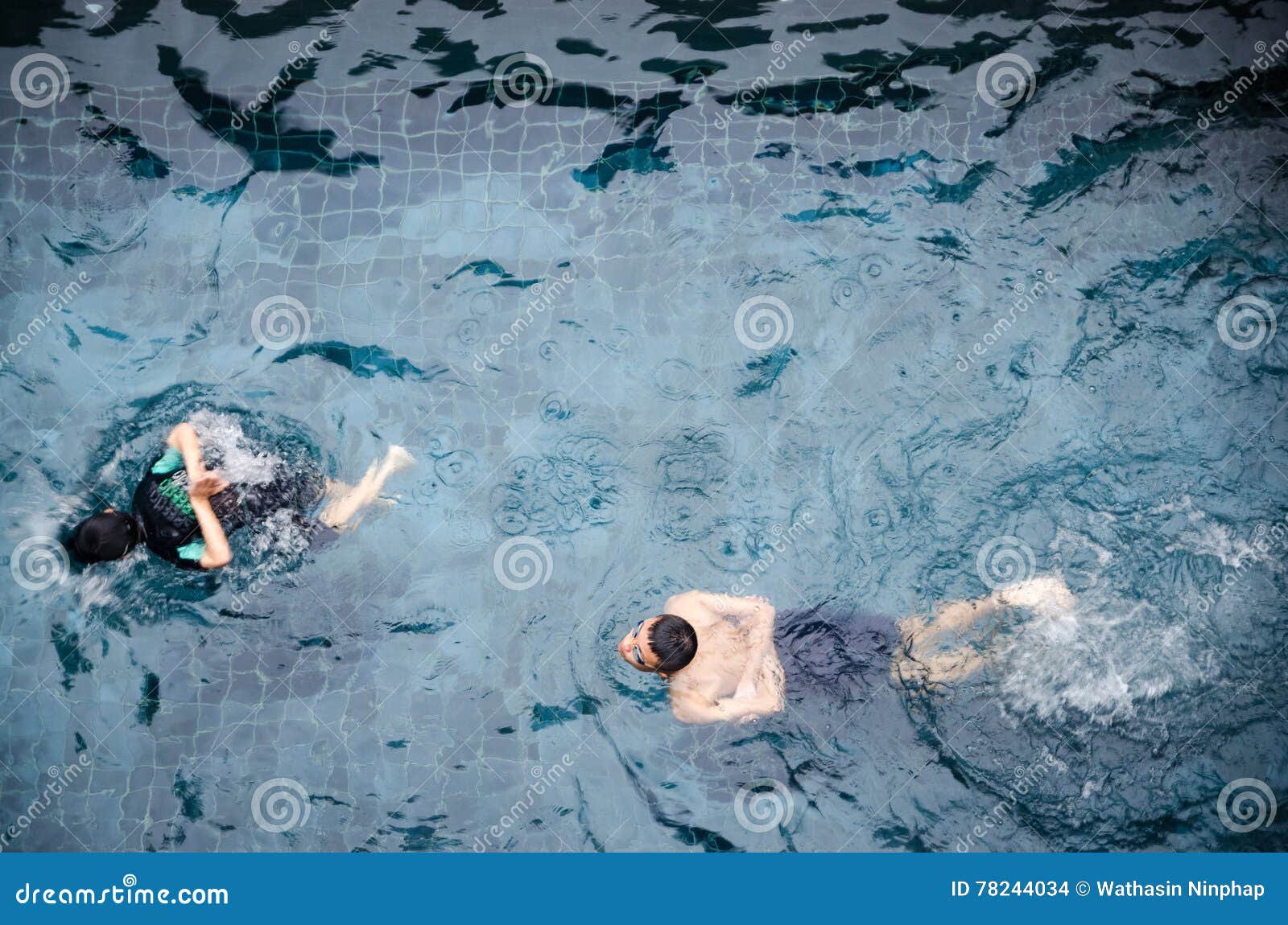 People swim in the pool stock photo. Image of sportswoman - 78244034