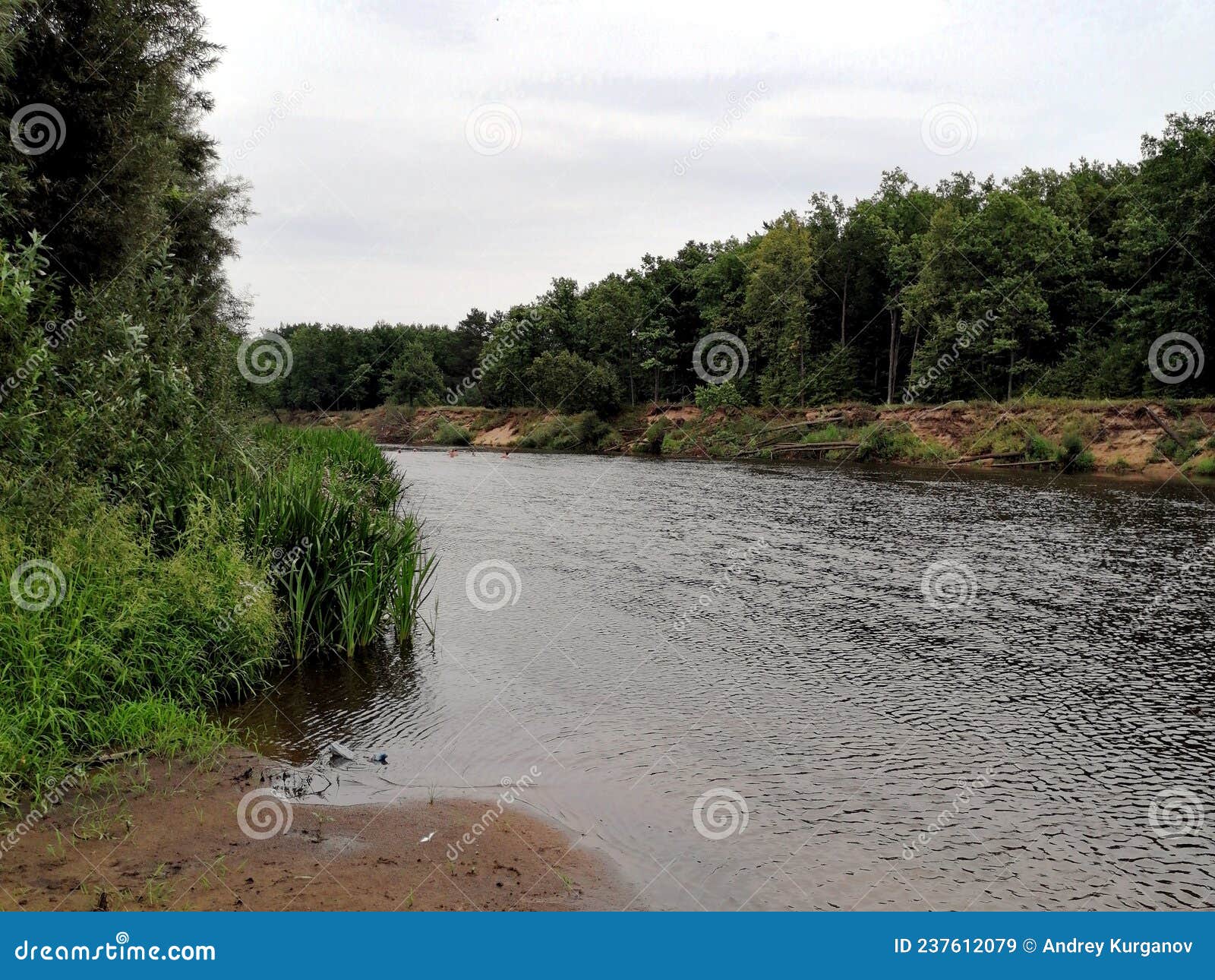 People swim in the river stock image. Image of nature - 237612079