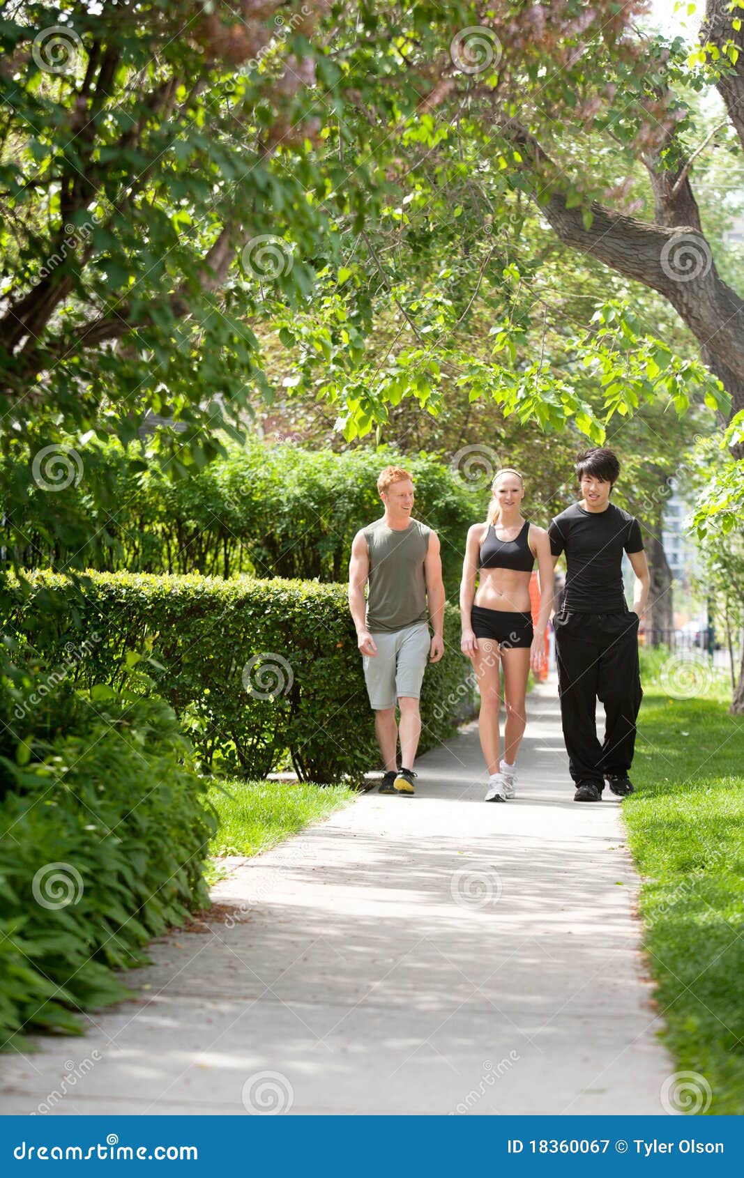 People taking morning walk stock image. Image of lifestyle - 18360067