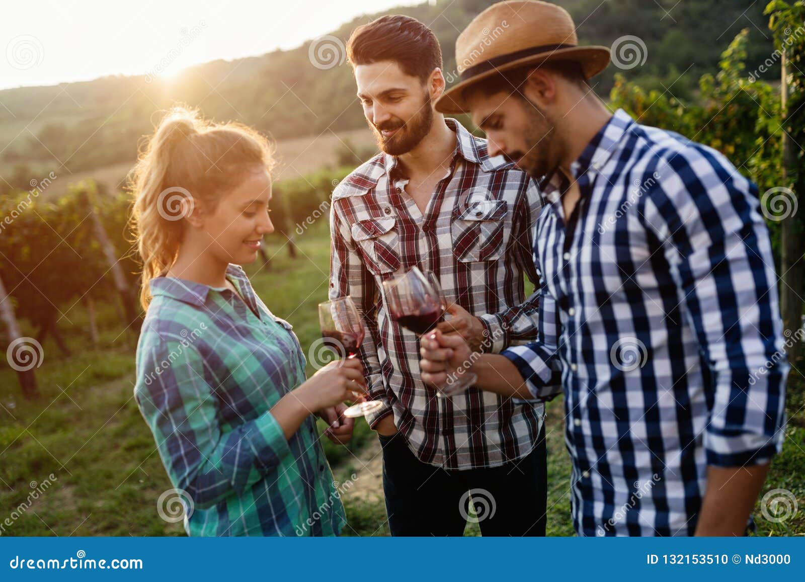 People Tasting Wine in Vineyard Stock Photo - Image of countryside ...