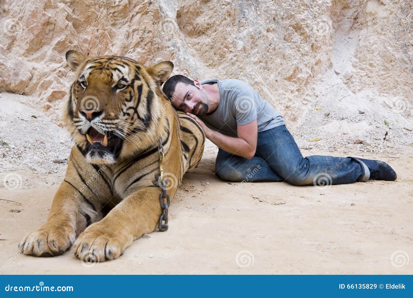 People with tiger temple stock image. Image of happy - 66135829