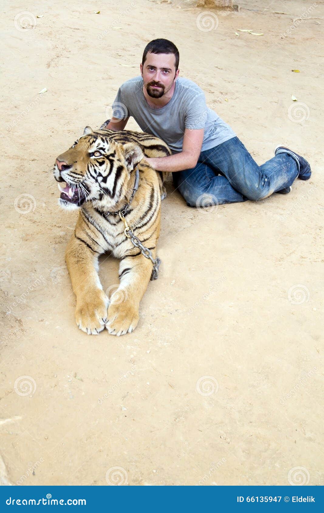 People with tiger temple stock image. Image of asia, play - 66135947