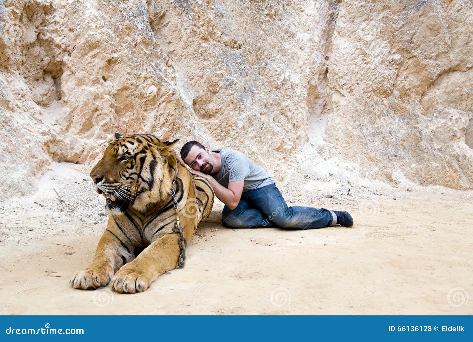 People with tiger temple stock photo. Image of happy - 66136128