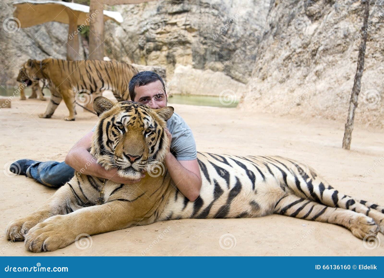 People with tiger temple stock photo. Image of family - 66136160