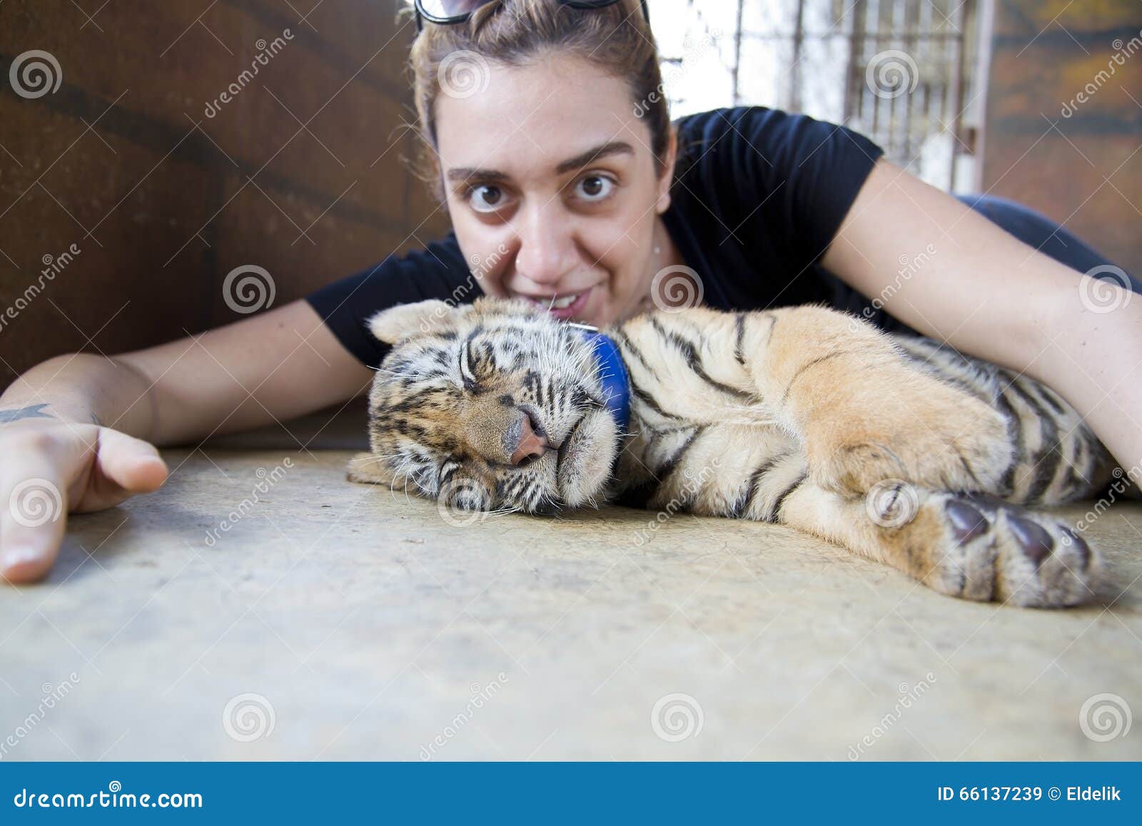 People with tiger temple stock image. Image of love, nature - 66137239
