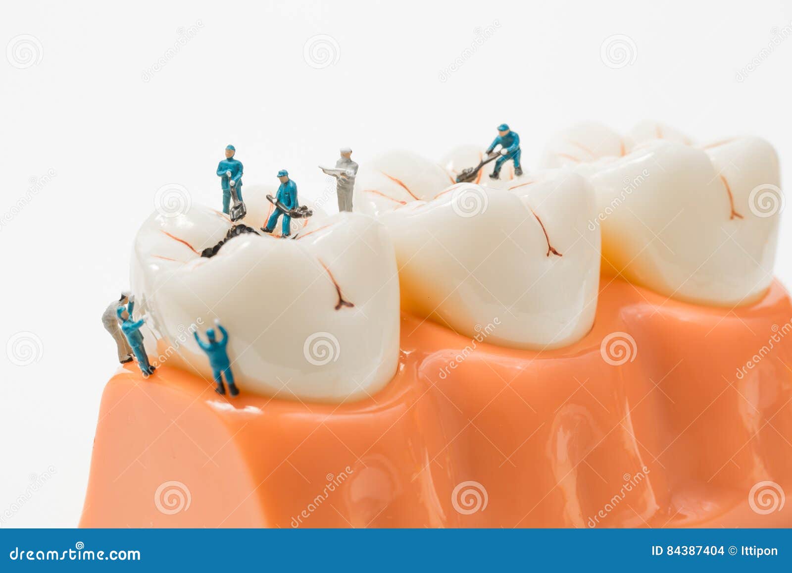 People To Clean Tooth Model ,miniature Stock Photo - Image of clinic ...
