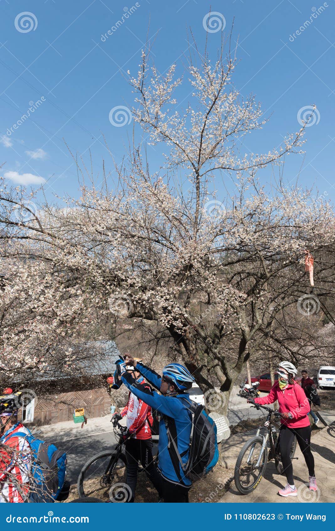 Mountain Bikes Inside A Railway Train Carriage. Public Transport ...