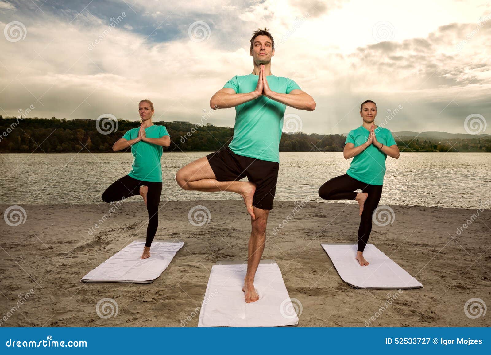 People in tree pose stock image. Image of green, body - 52533727