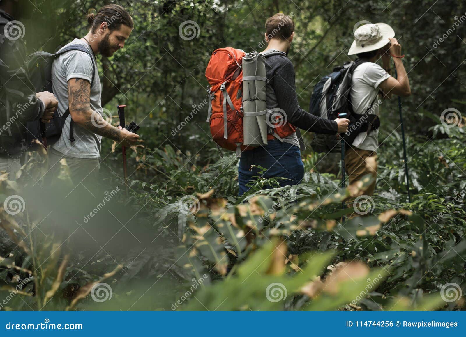 People Trekking in a Forest Stock Photo - Image of discovering, holiday ...
