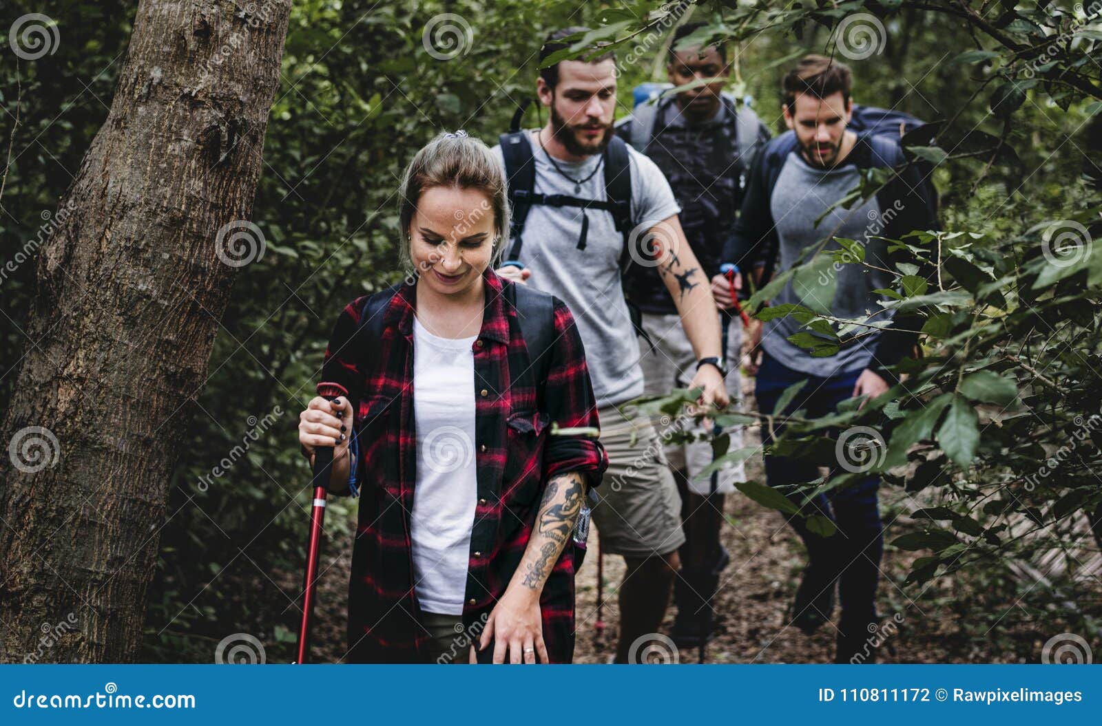 People Trekking in a Forest Stock Photo - Image of activity, america ...
