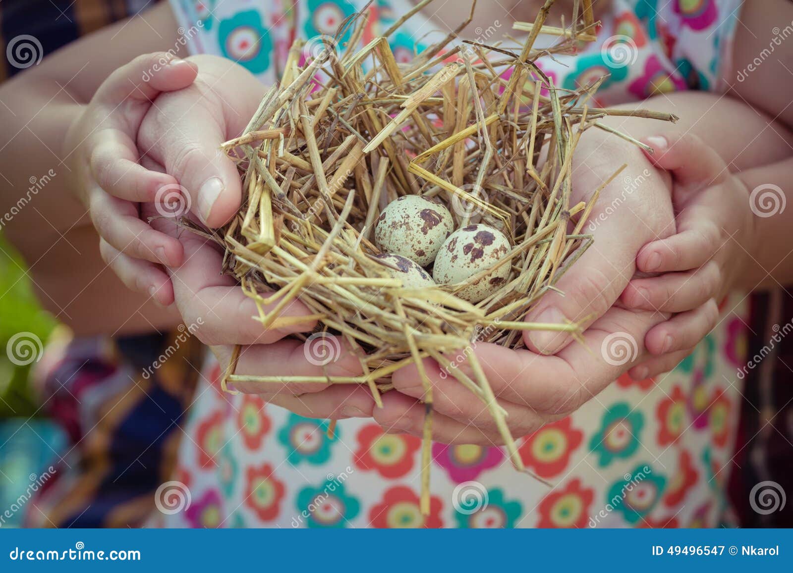 People of Two Generations Holding Nest in Palms Stock Image - Image of ...