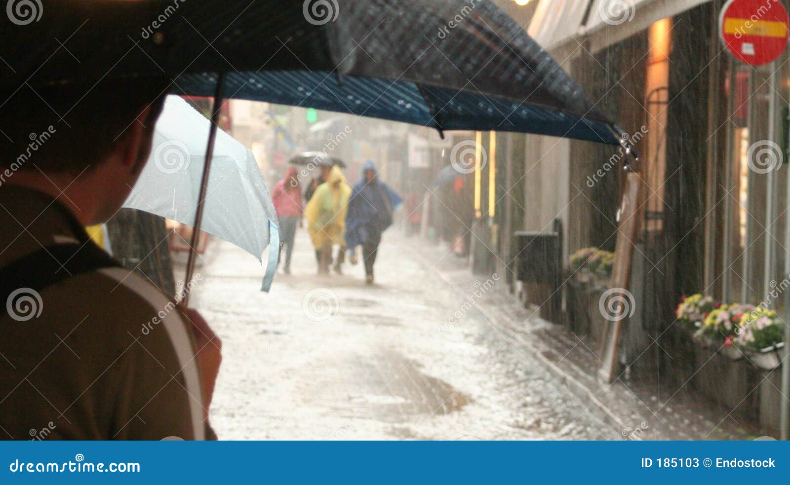 People with Umbrellas in the Rain Stock Image - Image of rain, nature ...
