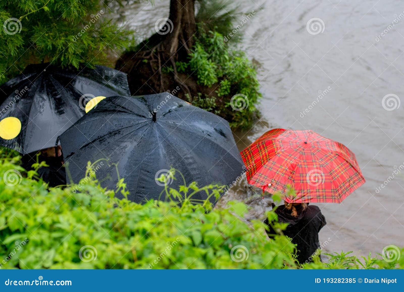 People with Umbrellas Under the Rain Looking at the Flood Stock Image ...