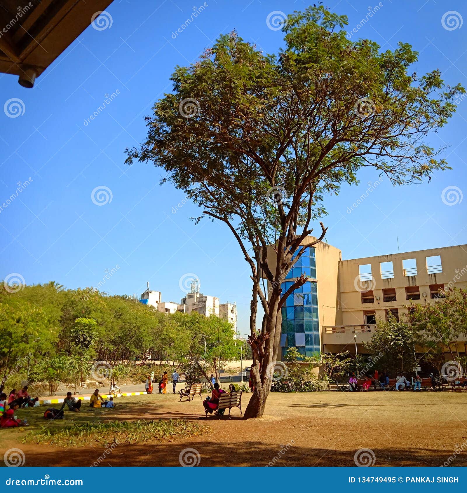 People Under the Shade of Tree Editorial Image - Image of people, tree ...
