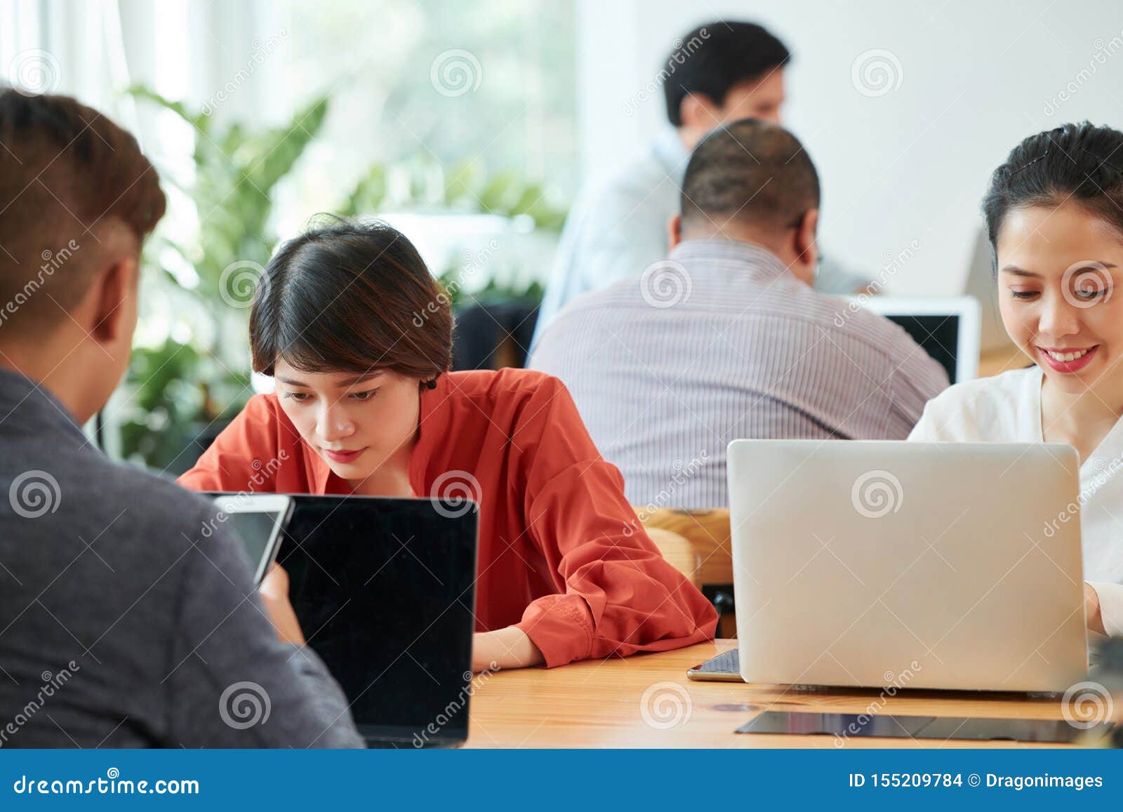 People Using Laptops at Office Stock Photo - Image of studying ...