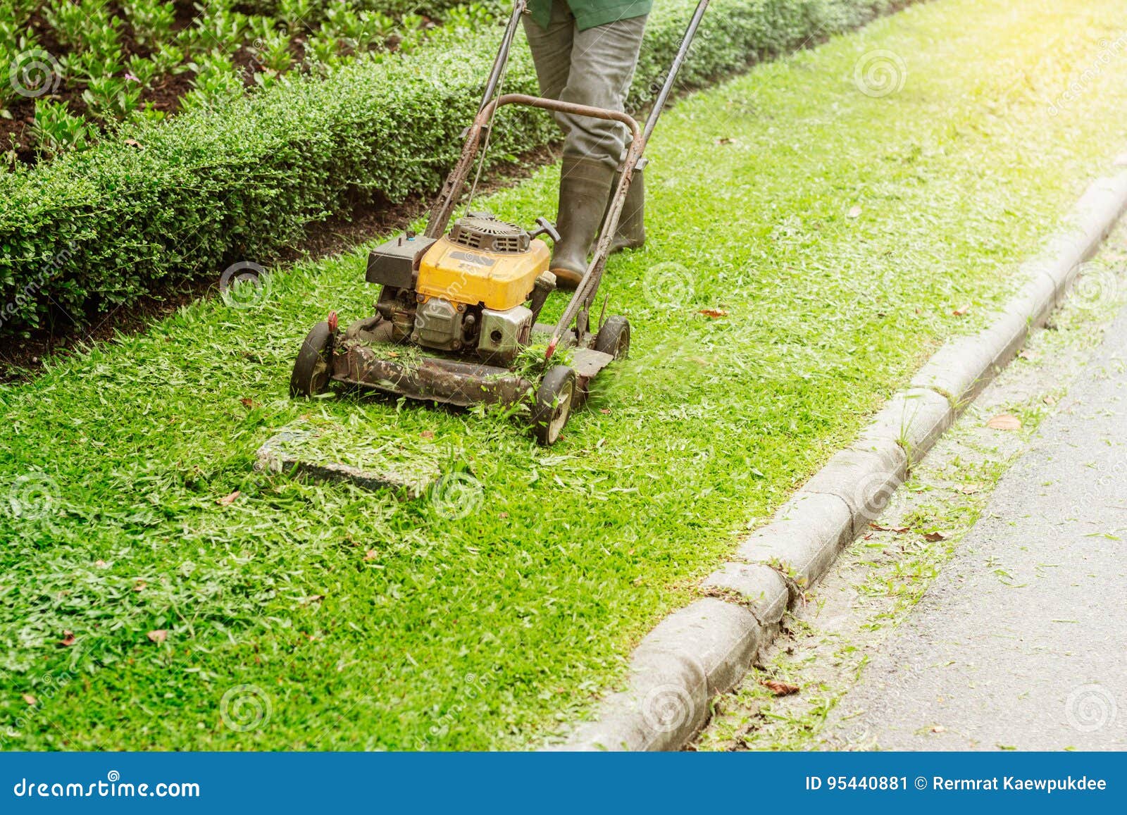 People are Using Lawn Mowers. Stock Image - Image of plants, garden ...