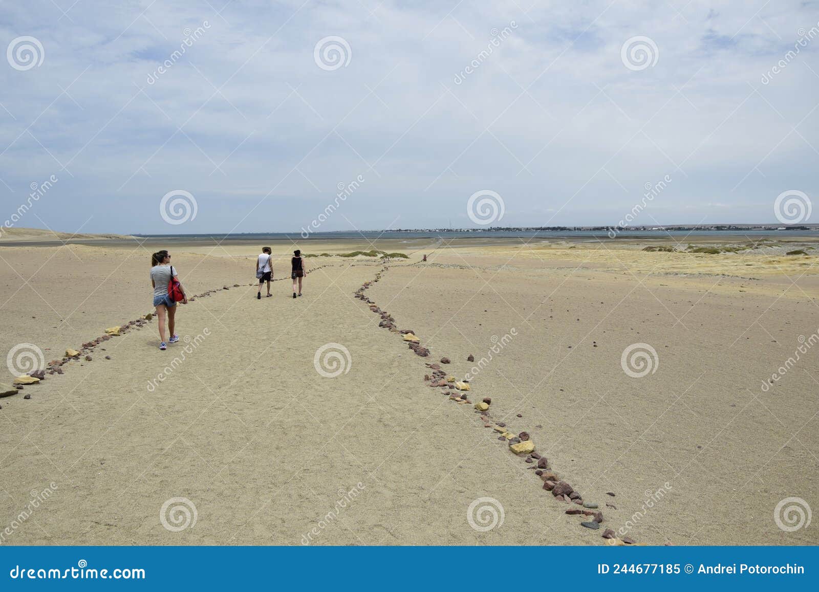 People Walk in the Paracas National Park. Peru Editorial Image - Image ...