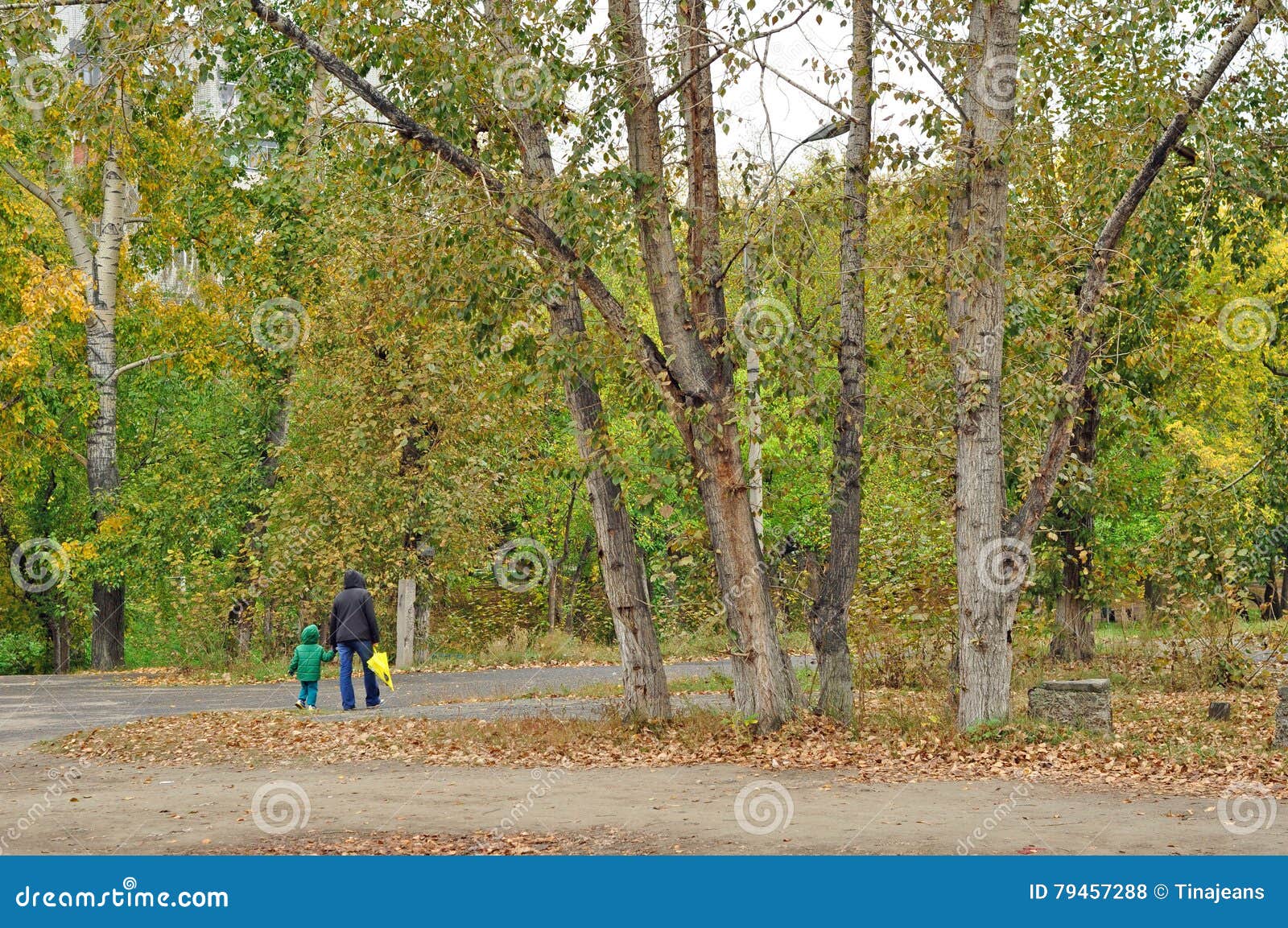 Walk Under The Foliage Of Maples Momiji Gari Japan Stock Photography ...