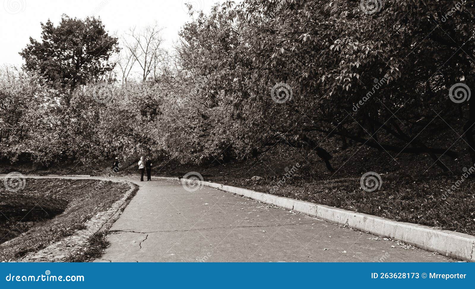 People Walking Along Urban Park Walkway Stock Image - Image of curb ...