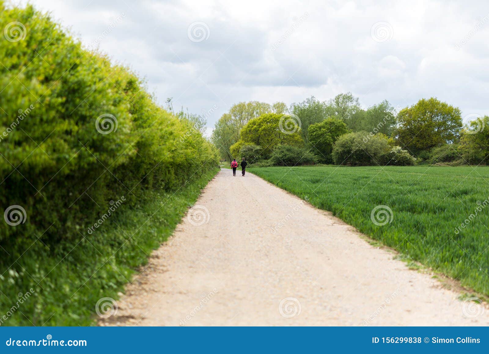 2 People Walking Away from the Camera Down a Rural Countryside Path ...