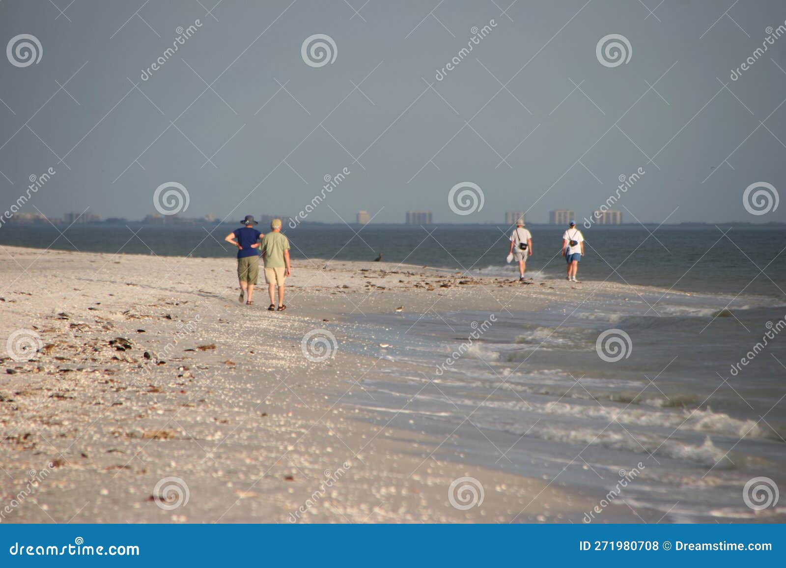 People Walking on Beach editorial stock photo. Image of ocean - 271980708