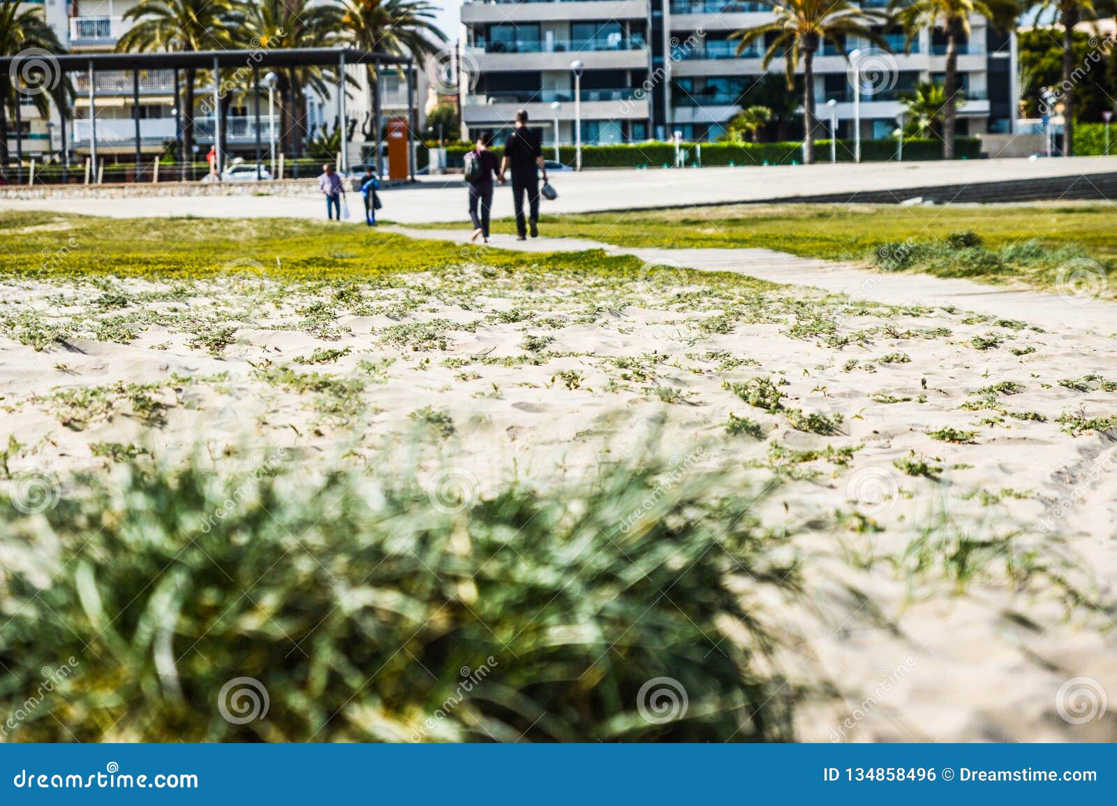 People Walking in the Beach Sunny Day Stock Photo - Image of ocean ...