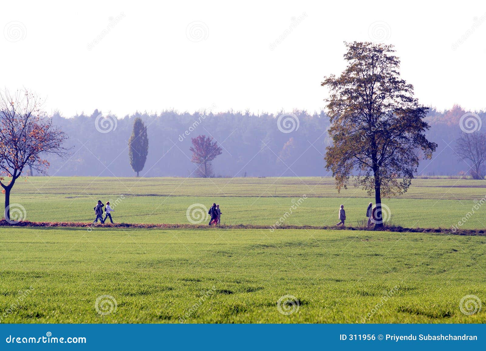People Walking through Countryside. Stock Photo - Image of walking ...