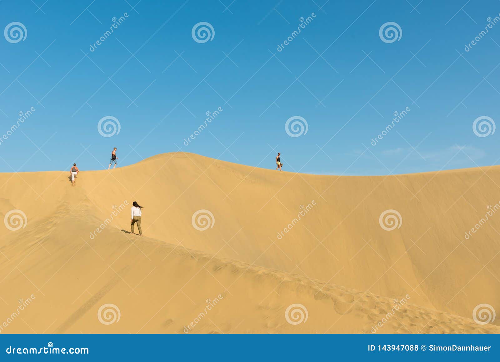 People Walking through the Desert Editorial Stock Photo - Image of ...