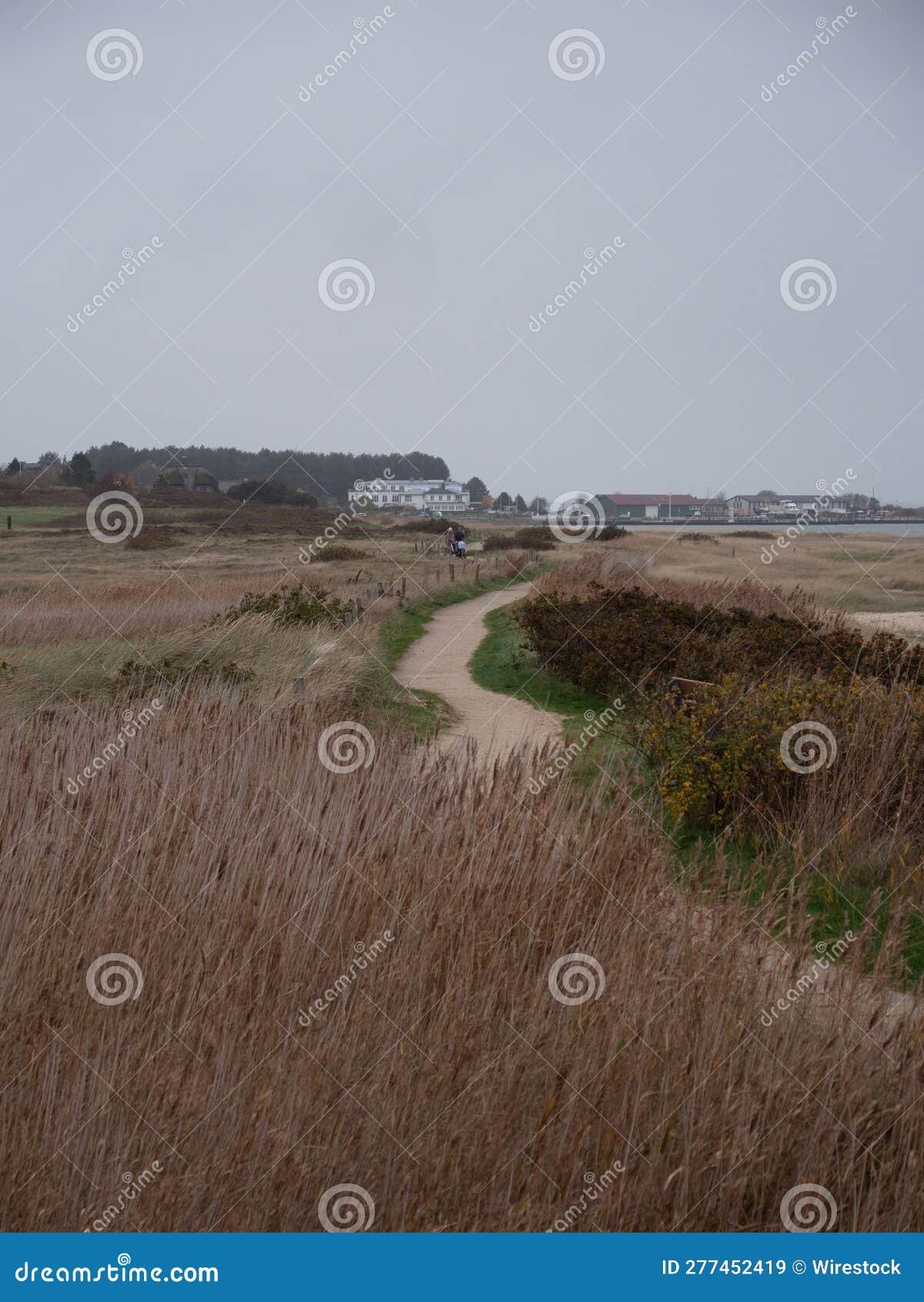 People Walking Down a Scenic Path Near a Tranquil Marsh Stock Image ...