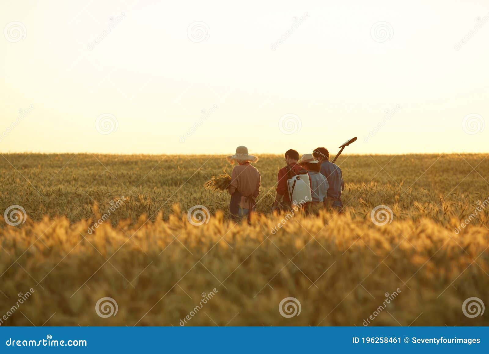 People Walking in Field at Sunset Stock Image - Image of sunset, field ...