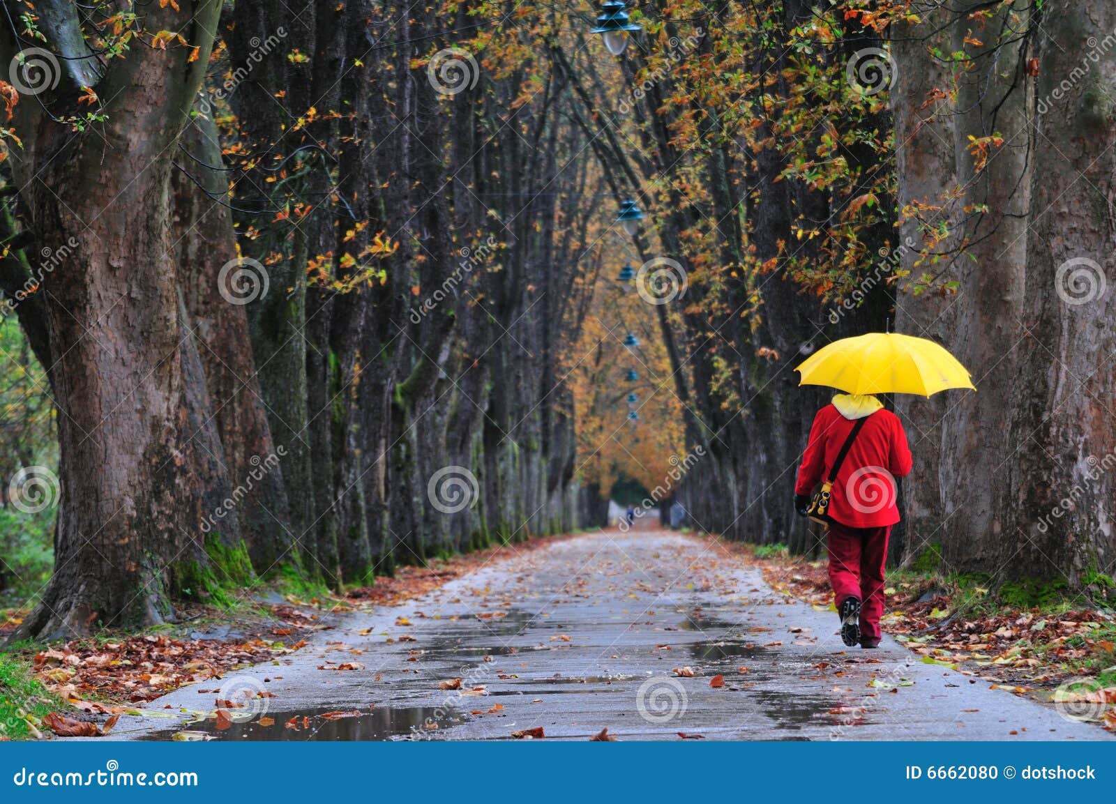 People Walking in Long Alley at Fall Autumn Sesson Stock Photo - Image ...