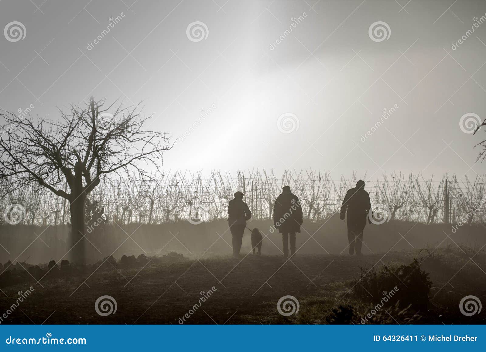 People walking in mist stock image. Image of people, walking - 64326411