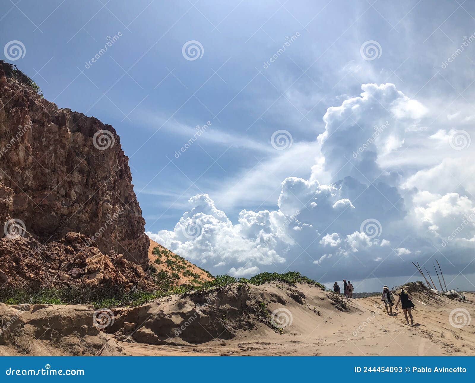 Wild Landscape of Northern Brazilian Beaches Editorial Stock Photo ...