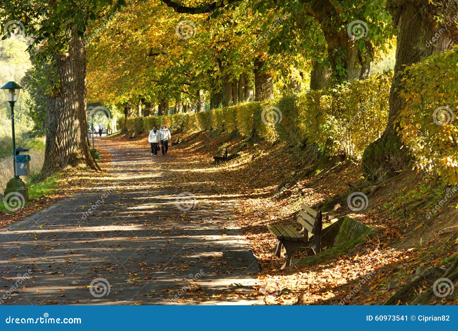 People walking in the park editorial photo. Image of light - 60973541